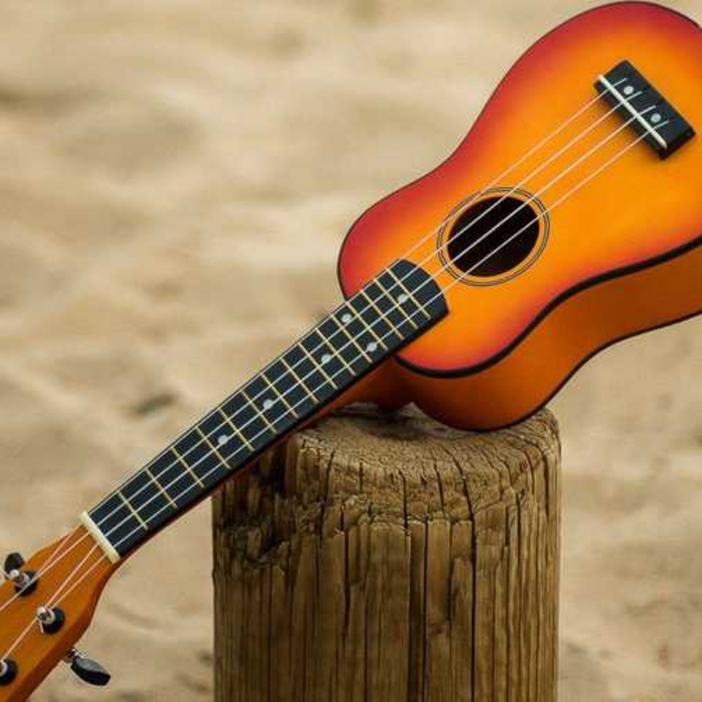 H-CFB : HOSCO Compact Fret Bender